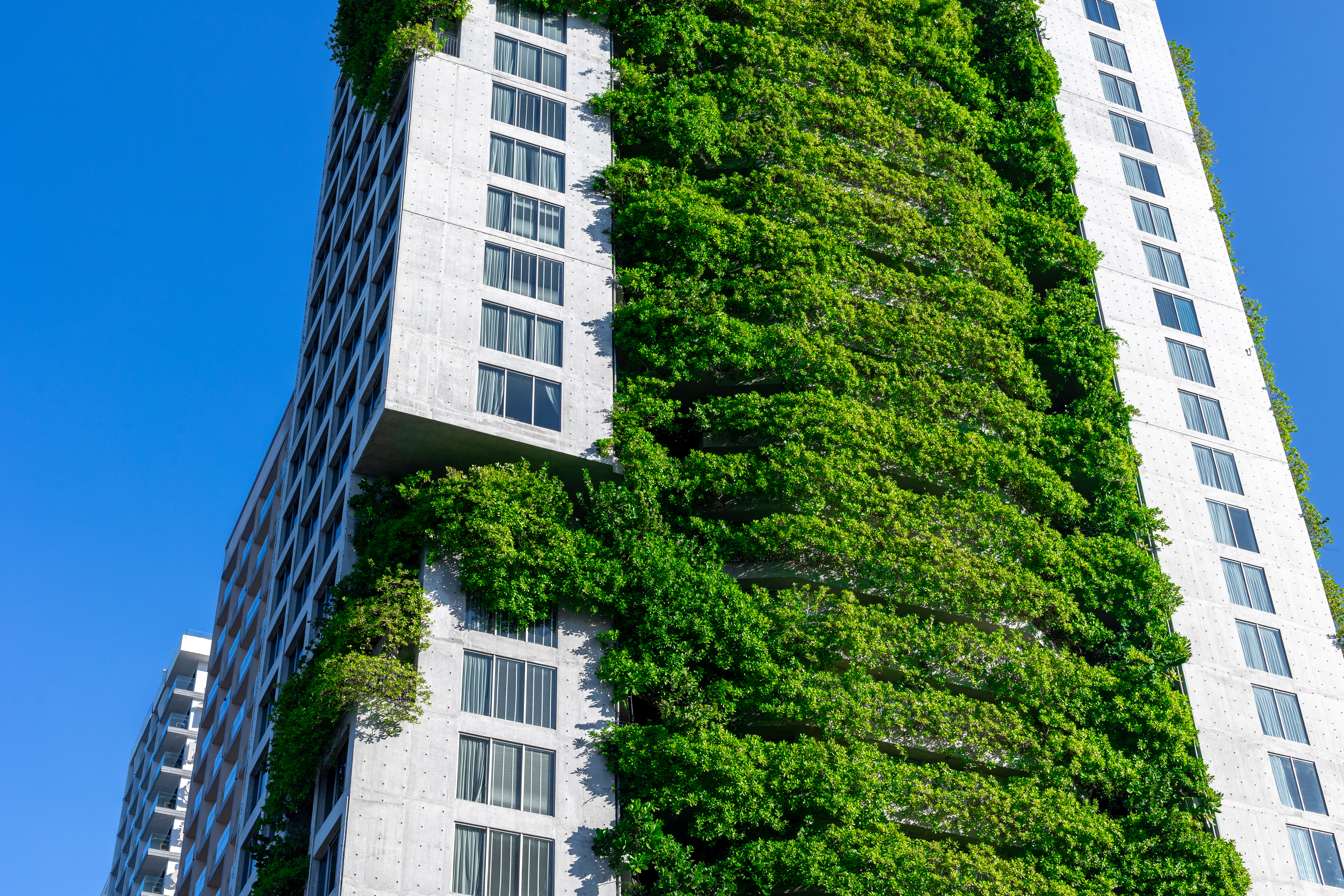 Waterproofing’s Role in Sustainable High-Rise Design - Tremco Australia